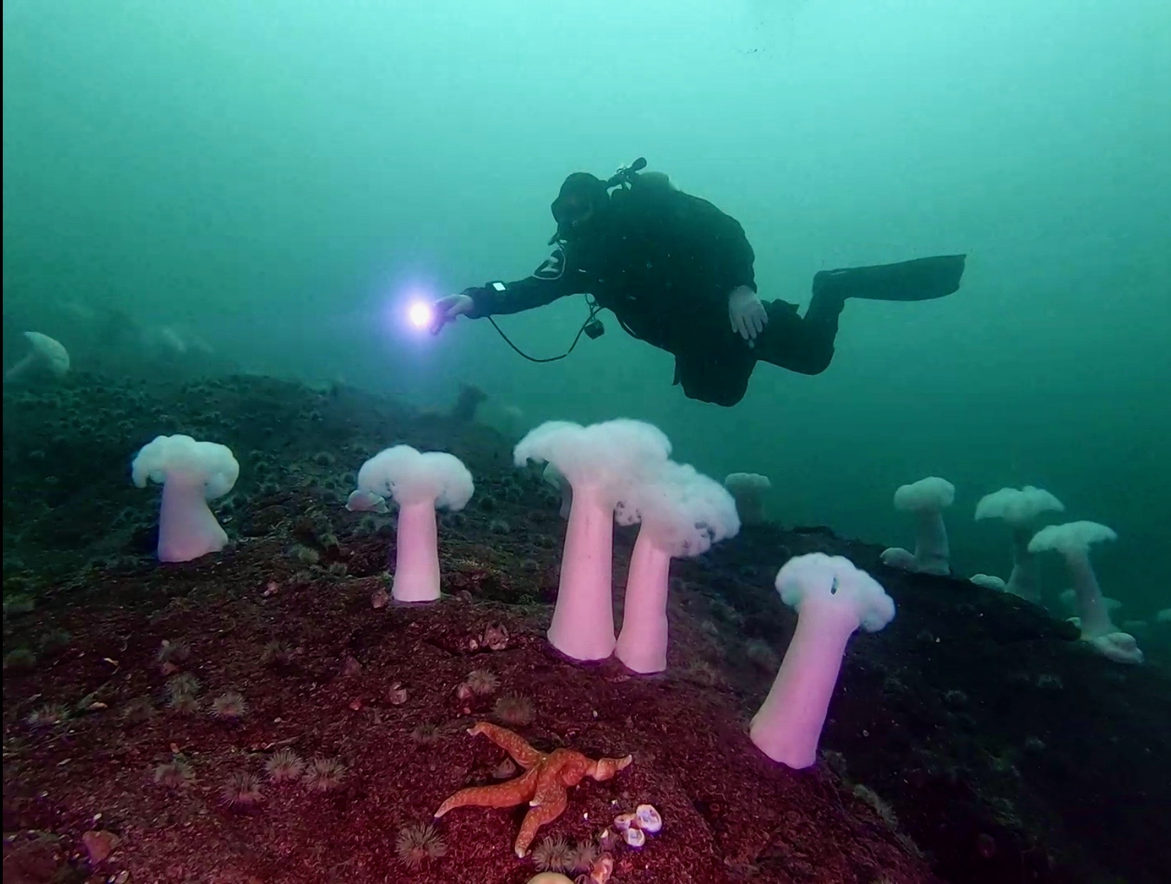 Personalized Guided Shore Dives | Ocean Quest Dive Centre